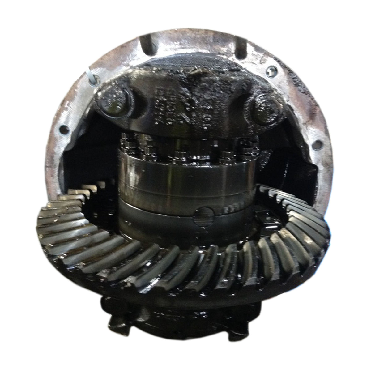 Dana, International S135 Rear Differential Ratio 3.54 Good Used ...